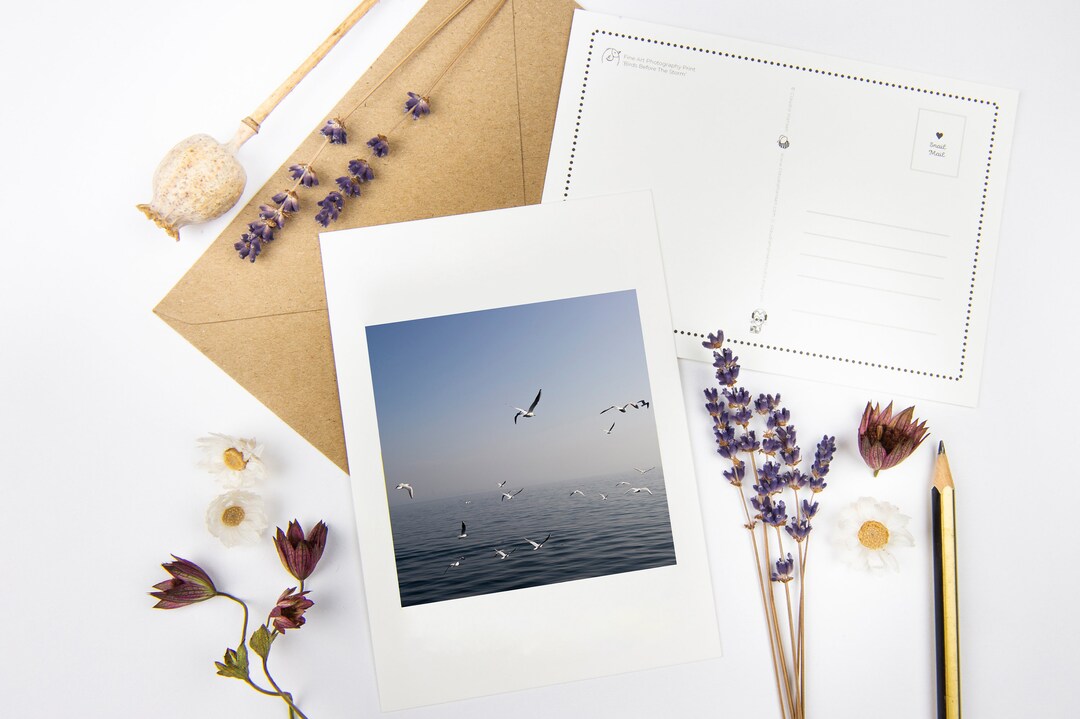 Postcard Set "seagulls at the Sea" With Recycled Envelopes ...