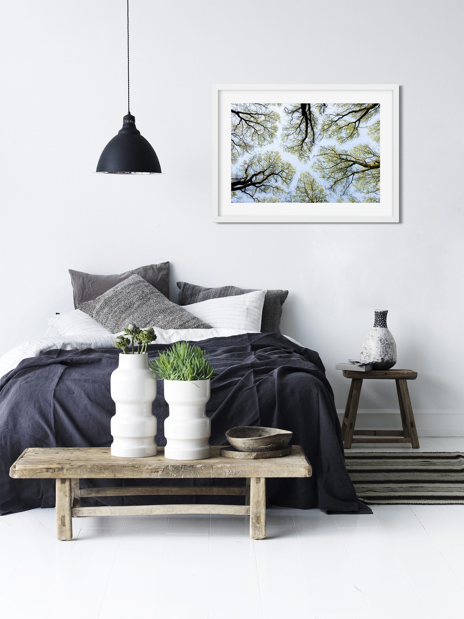 Canopy Photography Print high up in the Canopy I - Etsy