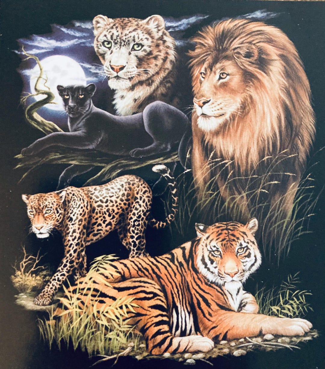 Exotic Big Cats Montage-tiger,lion,leopard & Panther on Black Cotton T ...