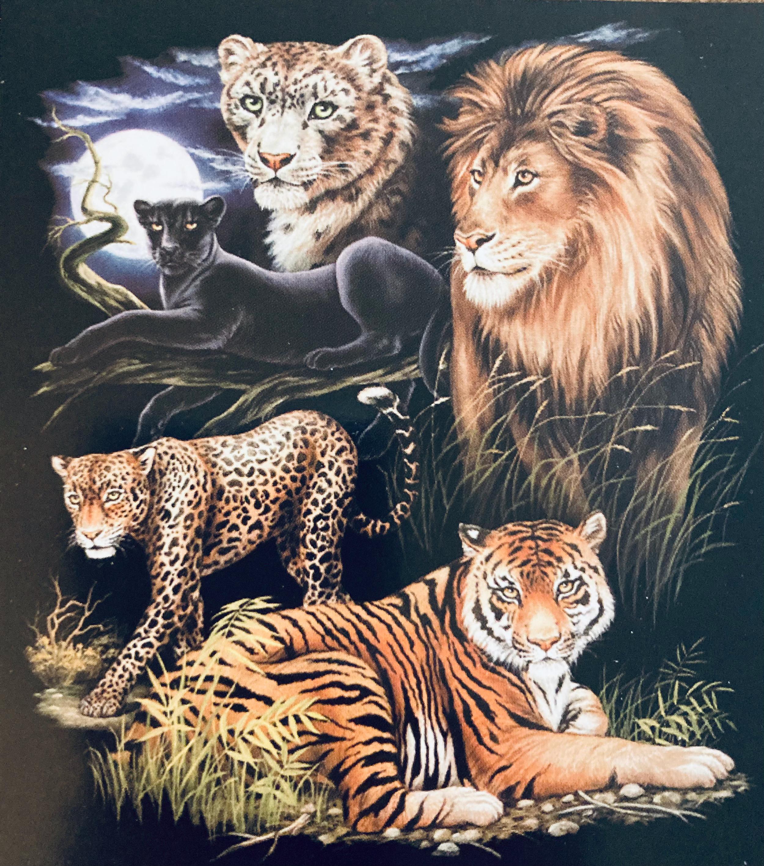Exotic Big Cats Montage-tiger,lion,leopard & Panther on Black Cotton T ...