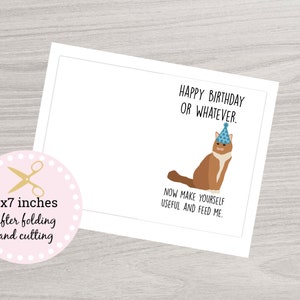 Funny Cat Birthday Card, Birthday Printable Card, Funny Cat Printable ...