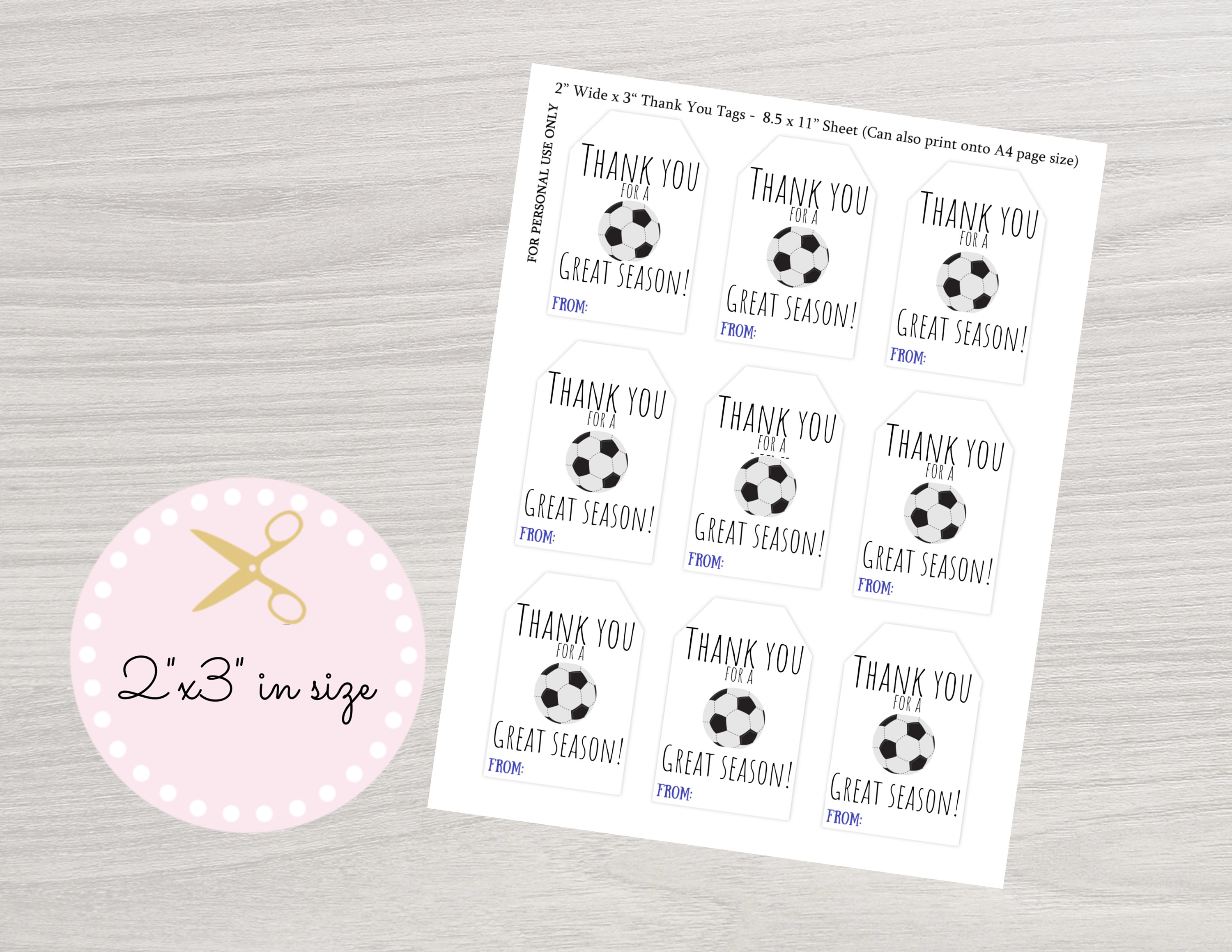 Soccer Printable Gift Tag Thanks for a Great Season Favor - Etsy