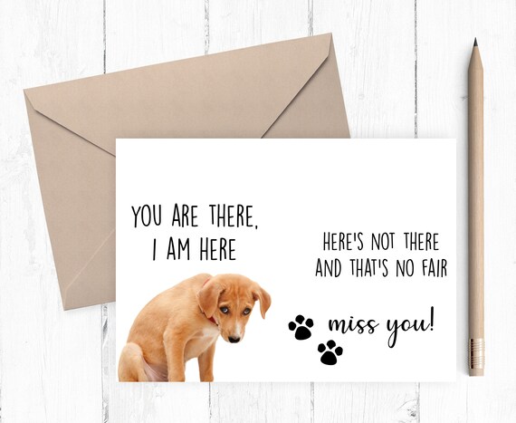 Sad Puppy I Miss You