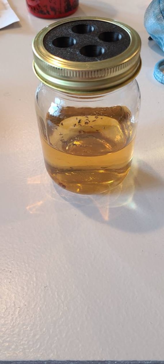 3d Printed Fruit Fly Traps - Etsy