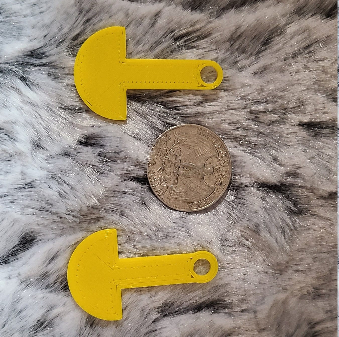 Removable Aldi Quarter Keychain - Etsy
