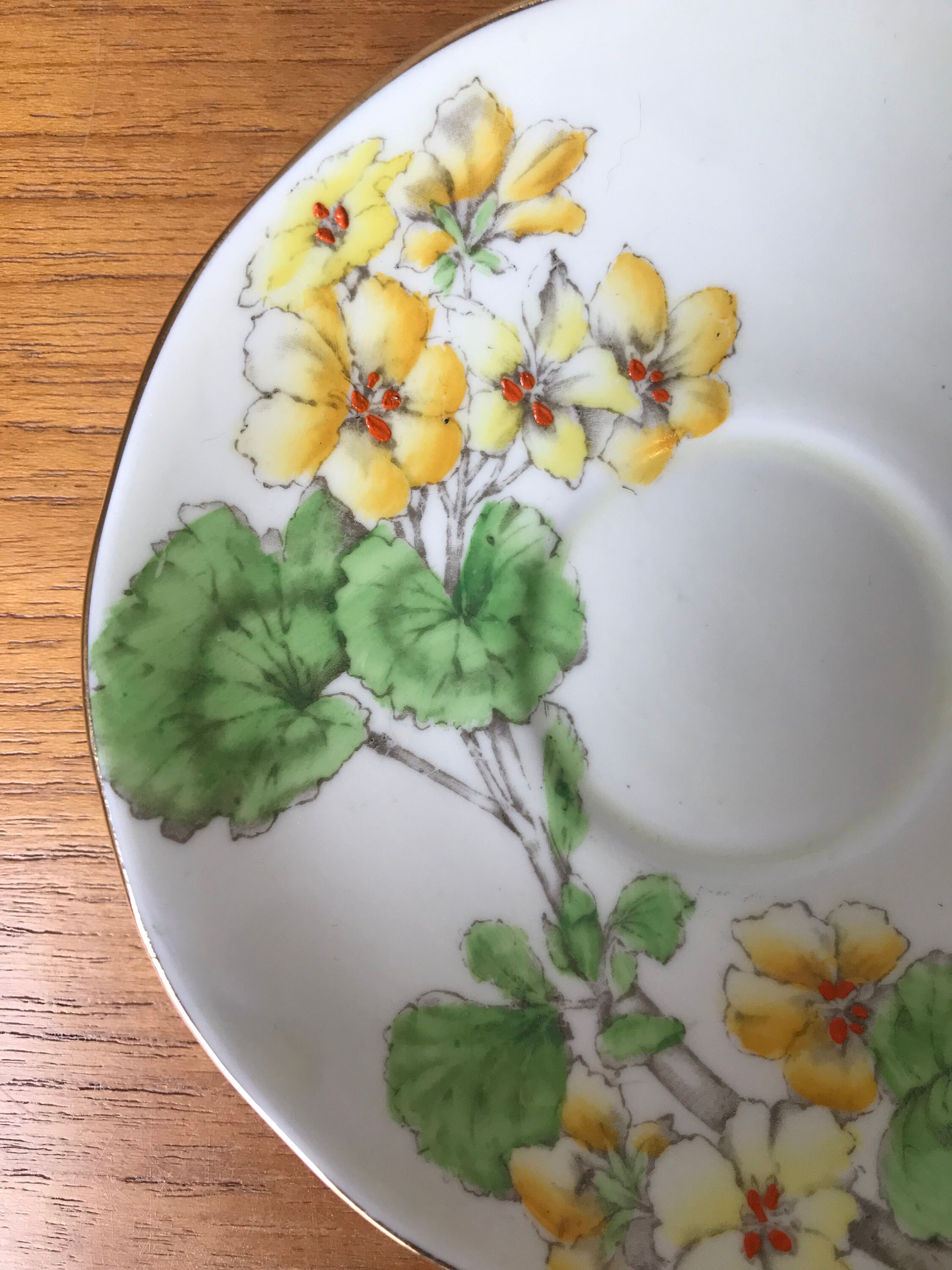 Salisbury Crown China geranium Tea Cup and Saucer | Etsy Canada