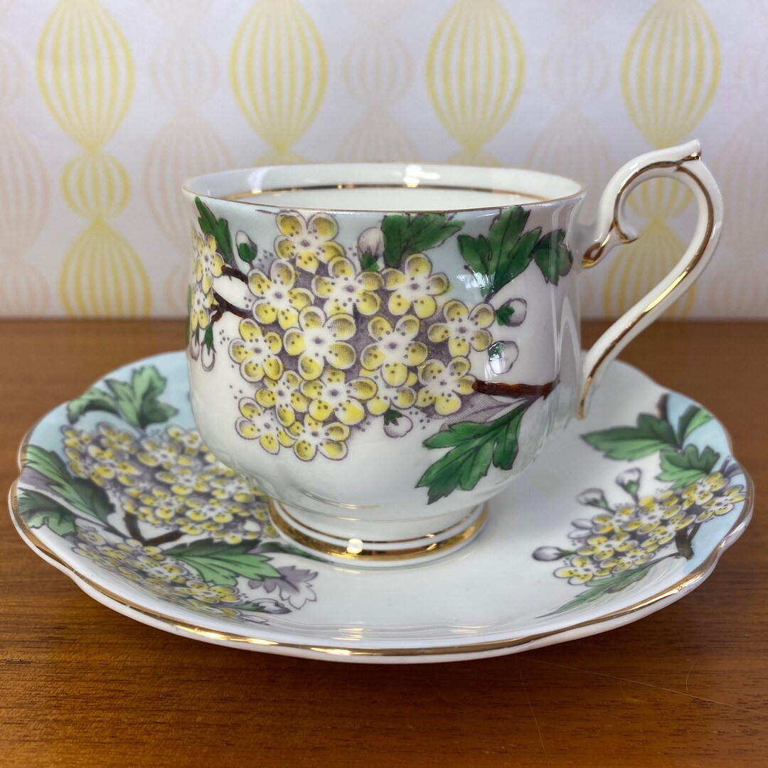 Royal Albert Flower of the Month Series Tea Cup and Saucer, Hawthorn ...