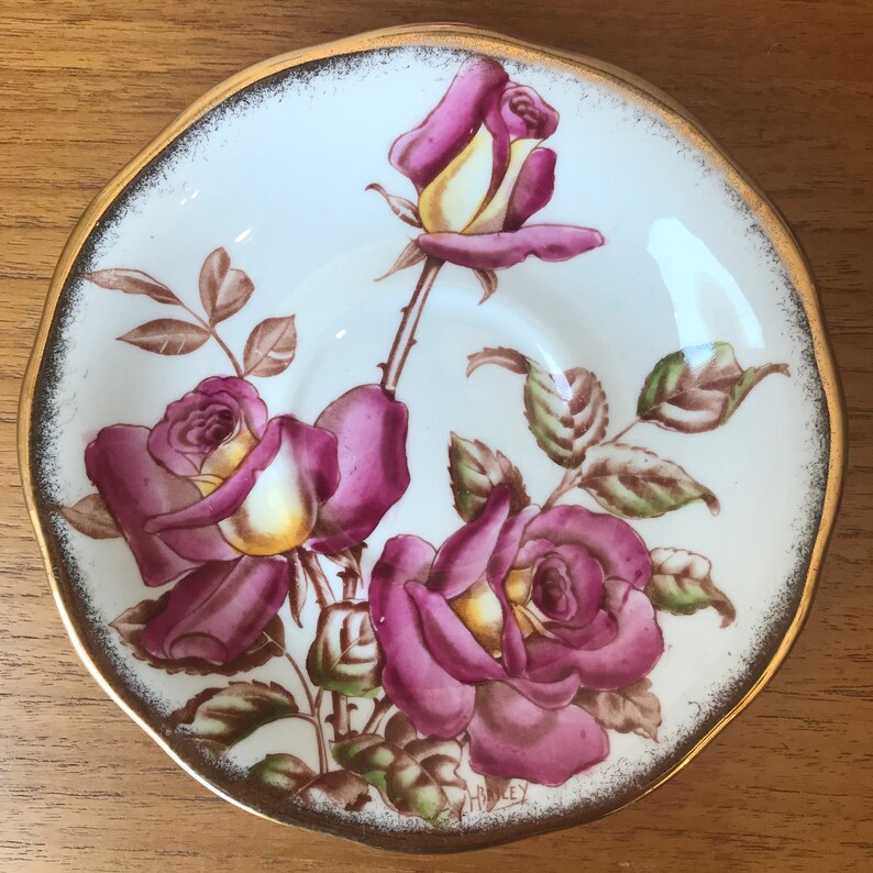 Queen Anne Windsor Rose Teacup and Saucer Signed H Bailey - Etsy Canada