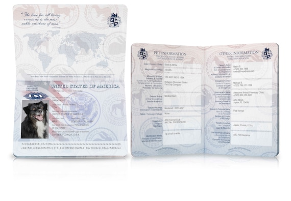 How To Get A Pet Passport For A Beagle In Thailand