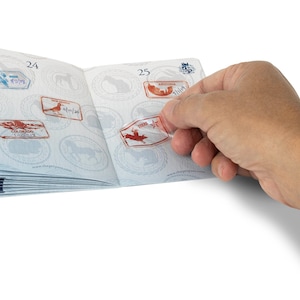 The Pet Pass 50 US State Stamp Stickers! - Etsy