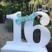 Pool Party Decoration Floating Prop Giant Numbers or Letters Sweet 16 ...