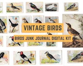 Vintage Garden Birds Junk Journal Kit, Vintage Birds Ephemera Papers ...