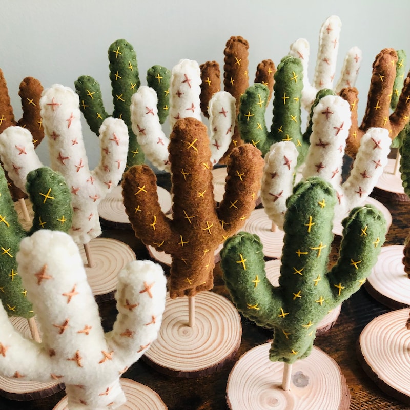 Cactus Theme Party - Etsy