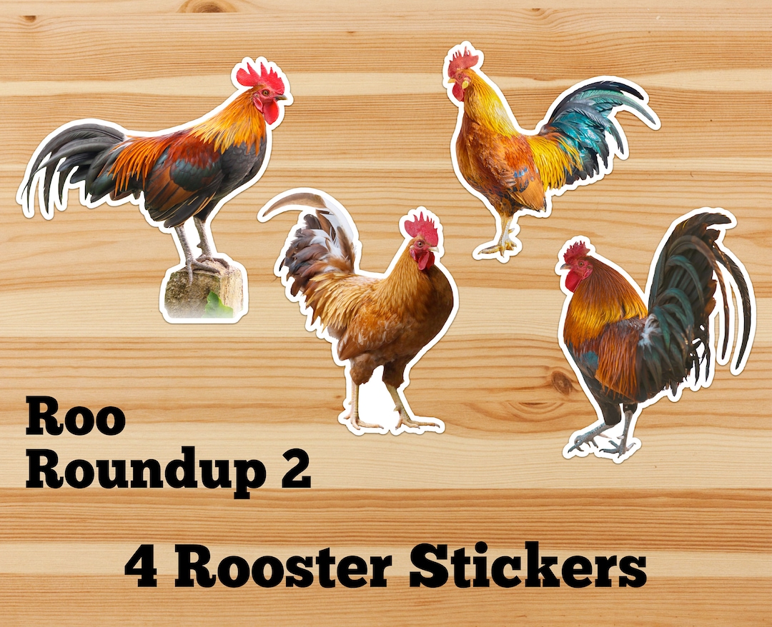 Chicken Stickers Roo Roundup 2 4 Rooster Stickers - Etsy