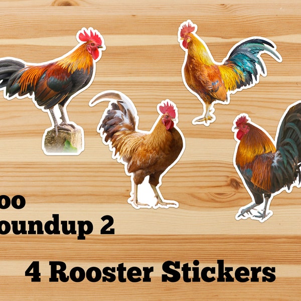 Rooster Decals - Etsy