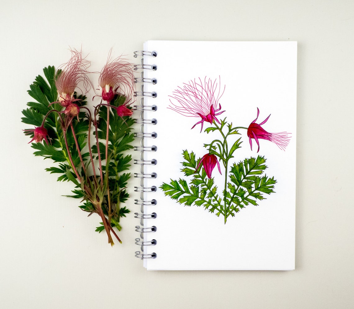 Prairie Smoke Flower journal notebook with pockets blank | Etsy