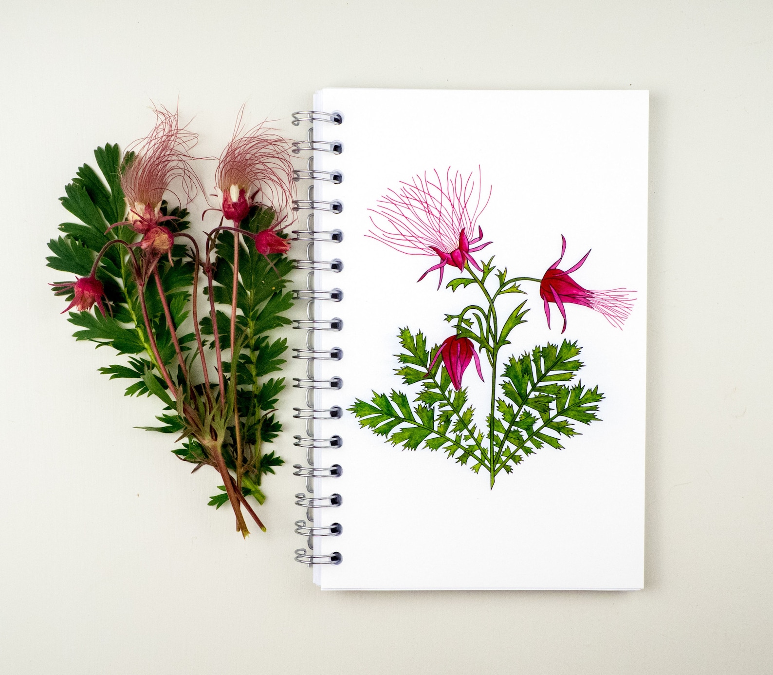 Prairie Smoke Flower journal notebook with pockets blank | Etsy