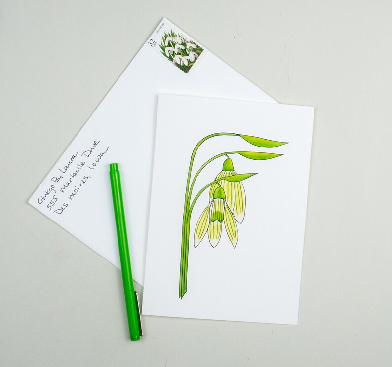 Snowdrop Card Spring Flower Card Botanical Art Card White | Etsy