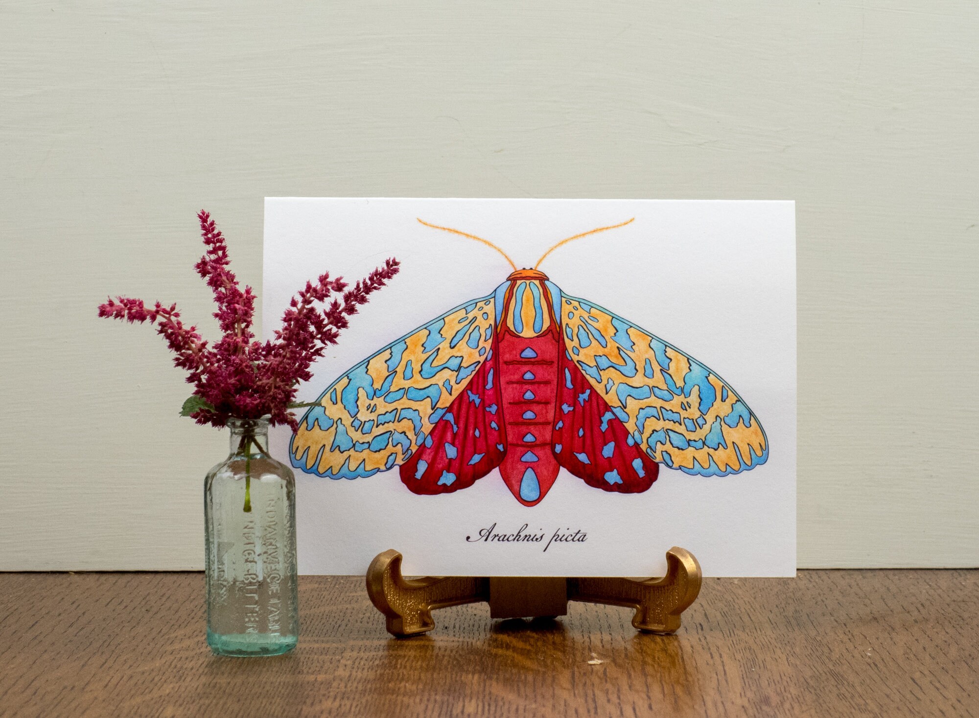 Painted Tiger Moth Colorful Moth Greeting Card Butterfly - Etsy