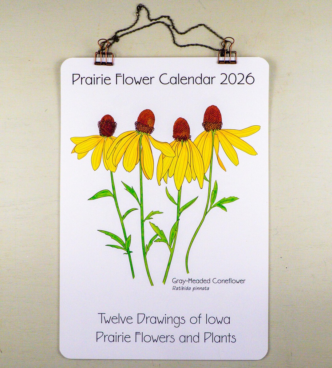 2026 Hanging Prairie Flower Wall Art Calendar, 9 X13" Illustrated ...