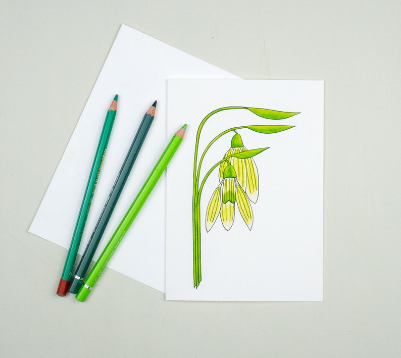 Snowdrop Card Spring Flower Card Botanical Art Card White - Etsy