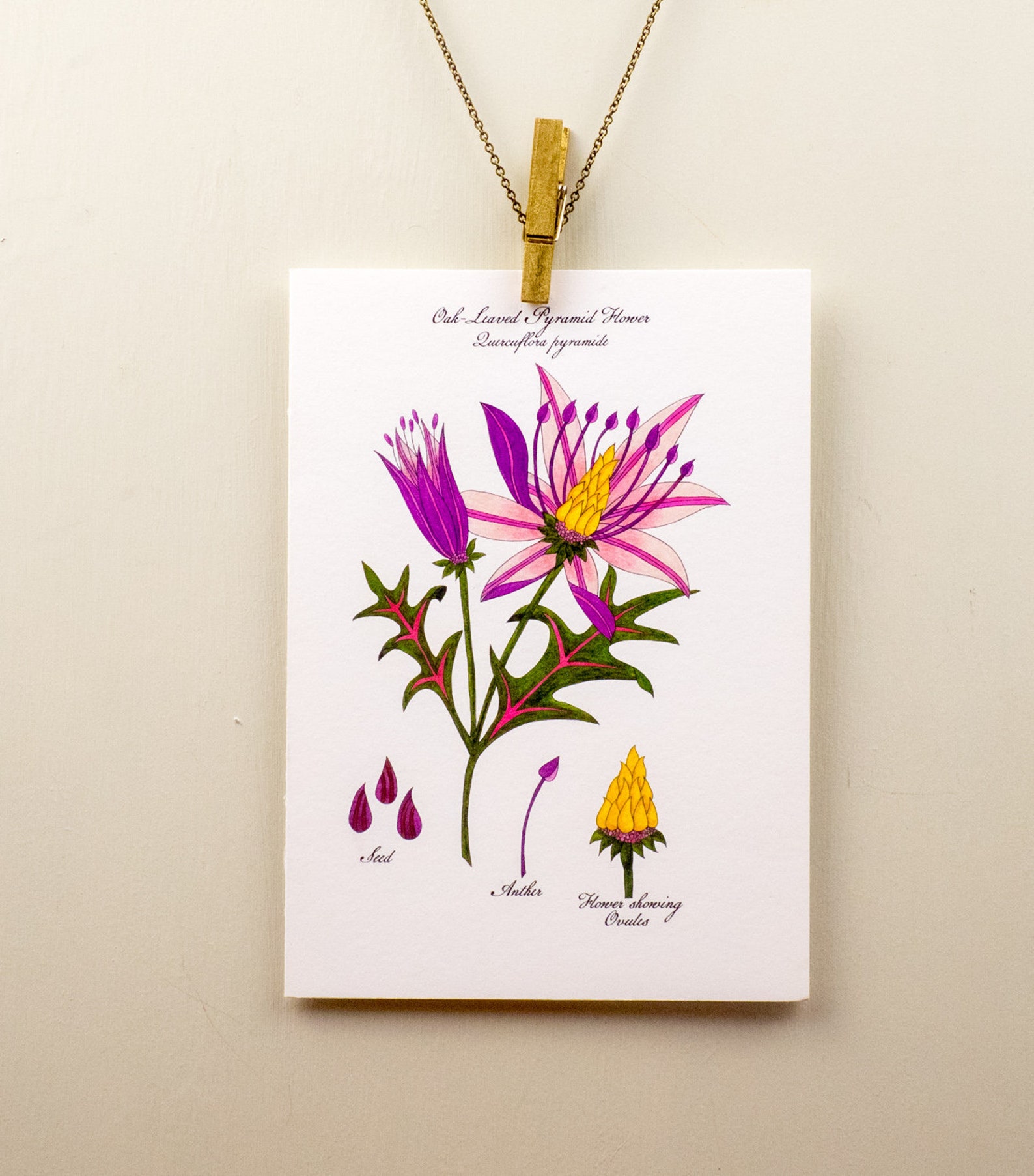 Flower Illustration Card Botanical Art Card Handmade Flower - Etsy