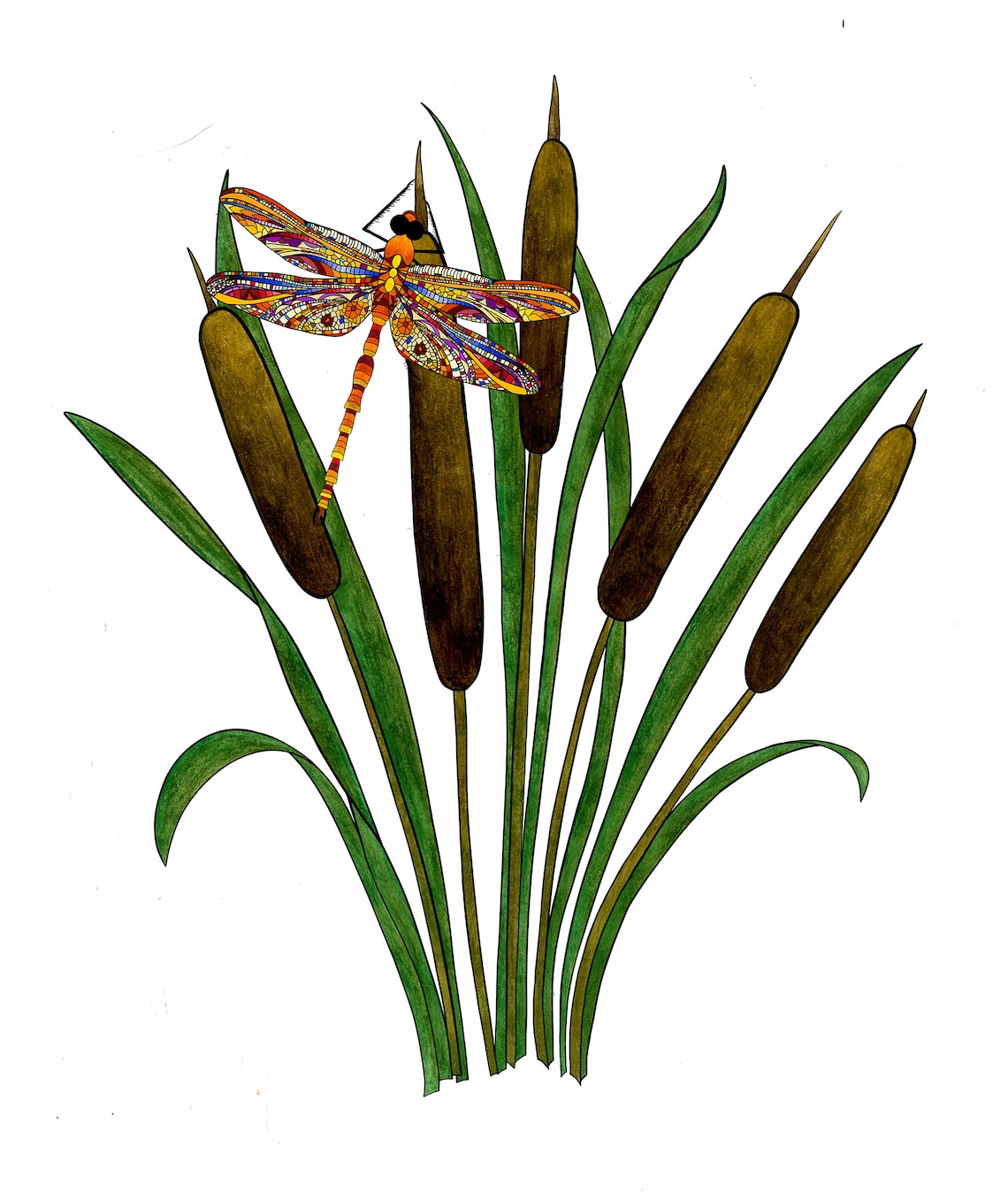 Dragonfly on Cattails, Dragonfly Art Card, Insect Watercolor Greeting ...