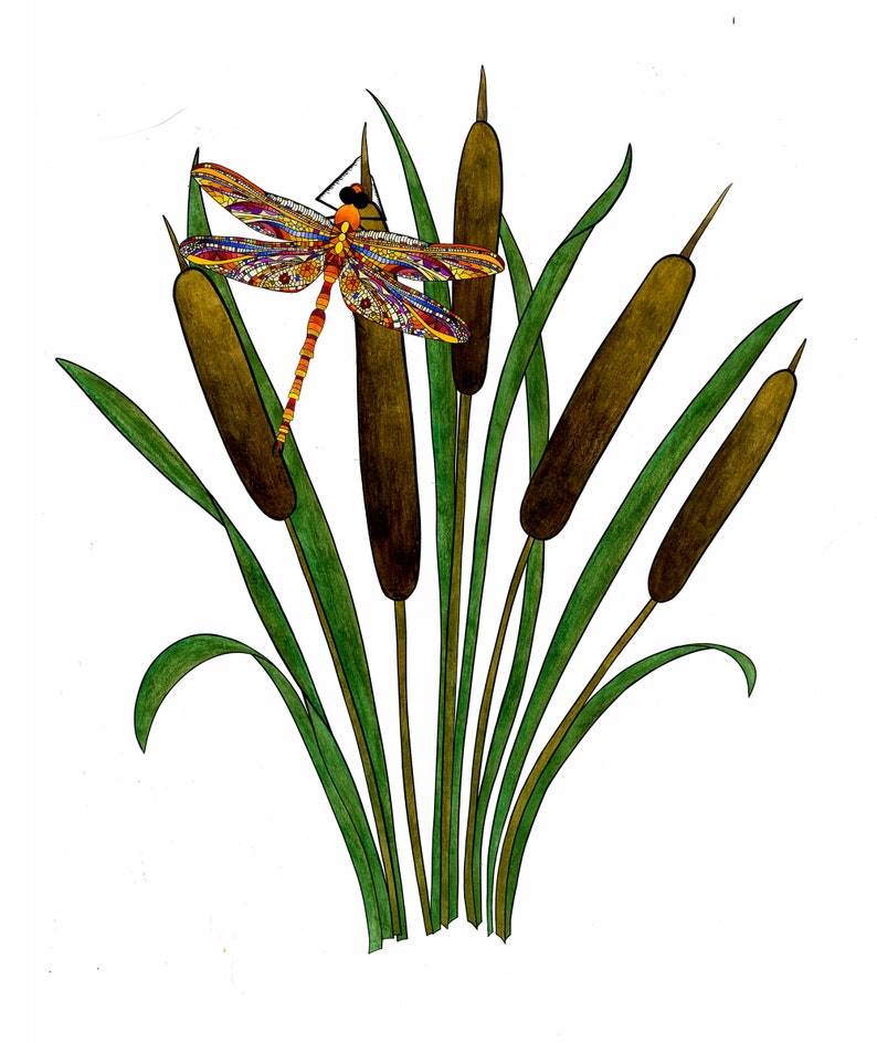 Dragonfly on Cattails Dragonfly Art Card Insect Watercolor | Etsy
