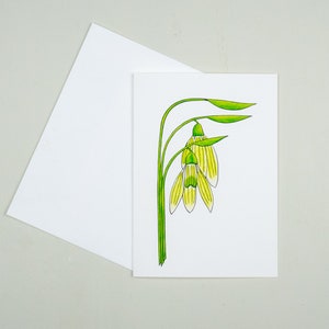 Snowdrop Card, Spring Flower Card, Botanical Art Card, White Flower ...