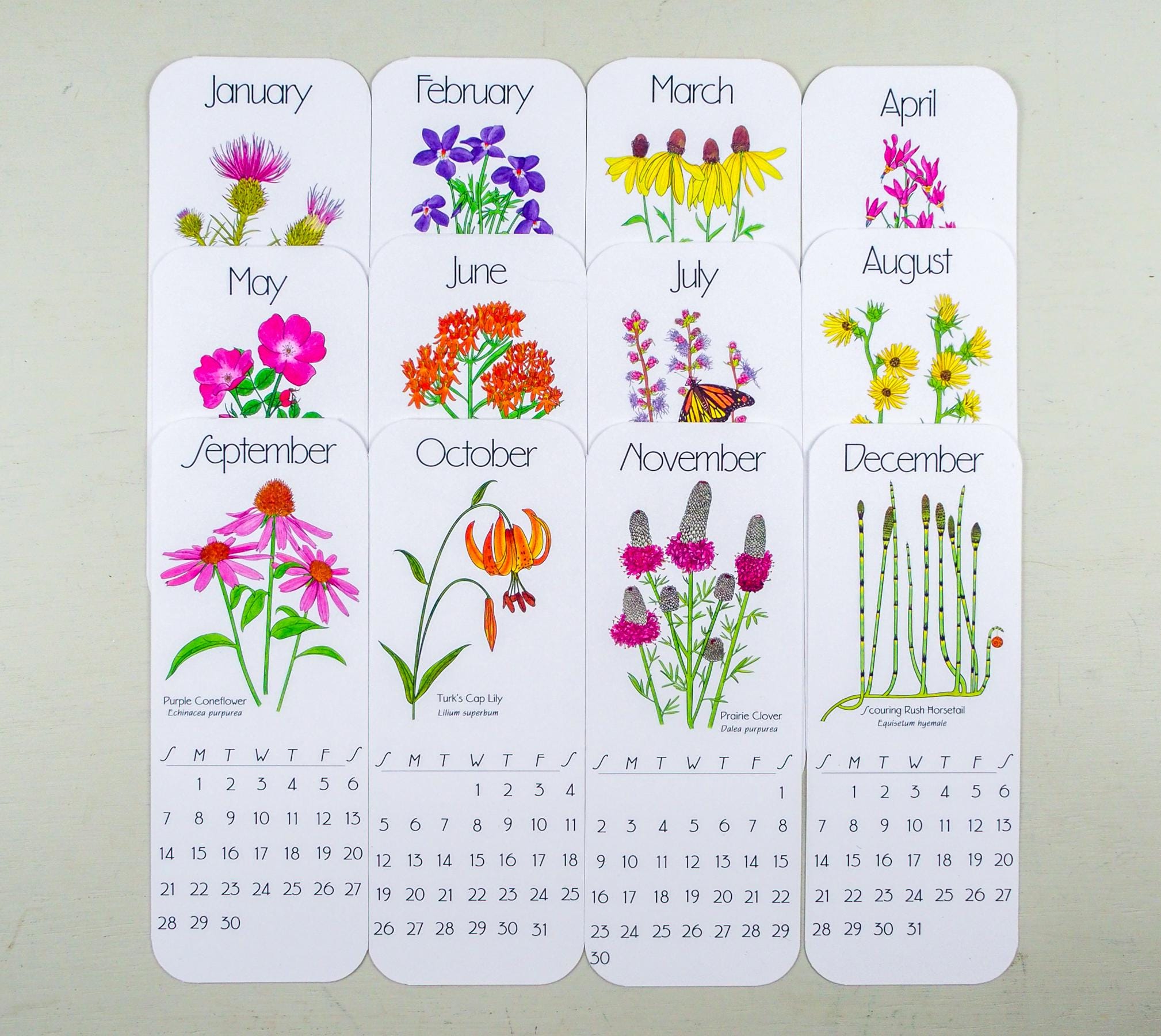 2026 Prairie Flower Bookmark Calendars; 12 Month Floral Bookmark Set - Etsy