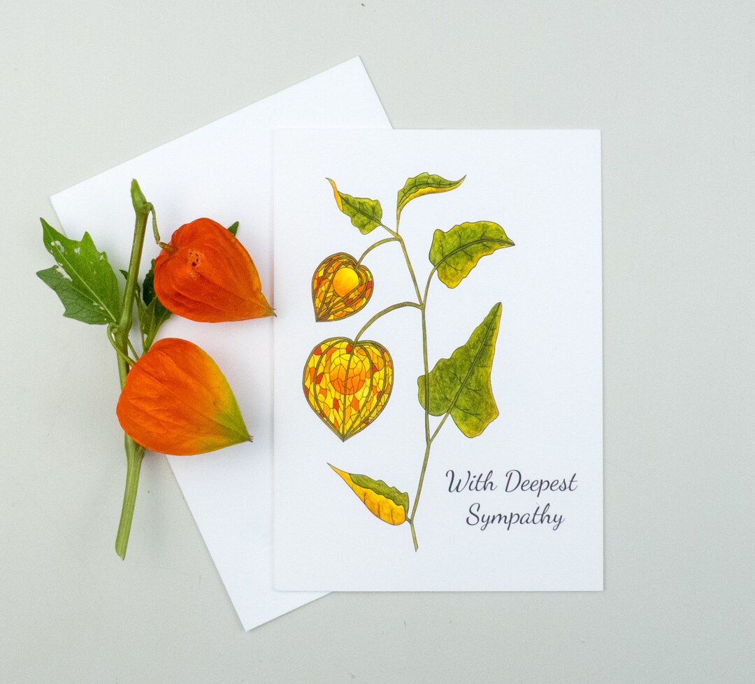 Japanese Lantern Sympathy Card: Watercolor Flower Condolence - Etsy