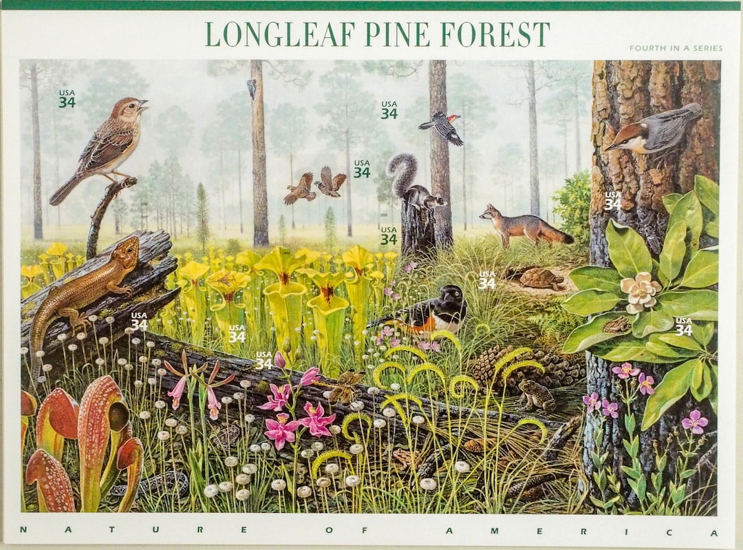 Longleaf Pine Forest Stamps, Nature of America Series, Included Are ...