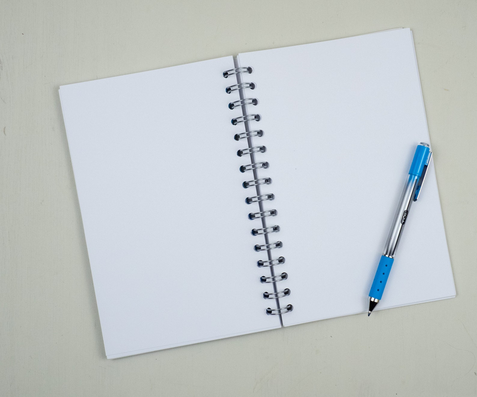 Olive Wreath journal notebook with pockets Olive branch art | Etsy