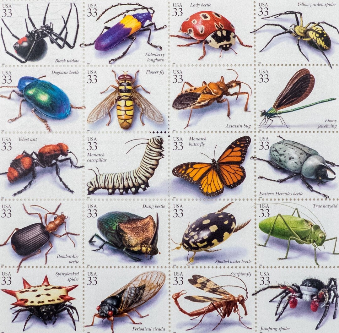 20 Insect and Spider Stamps Butterfly Stamp Beetle Stamps - Etsy