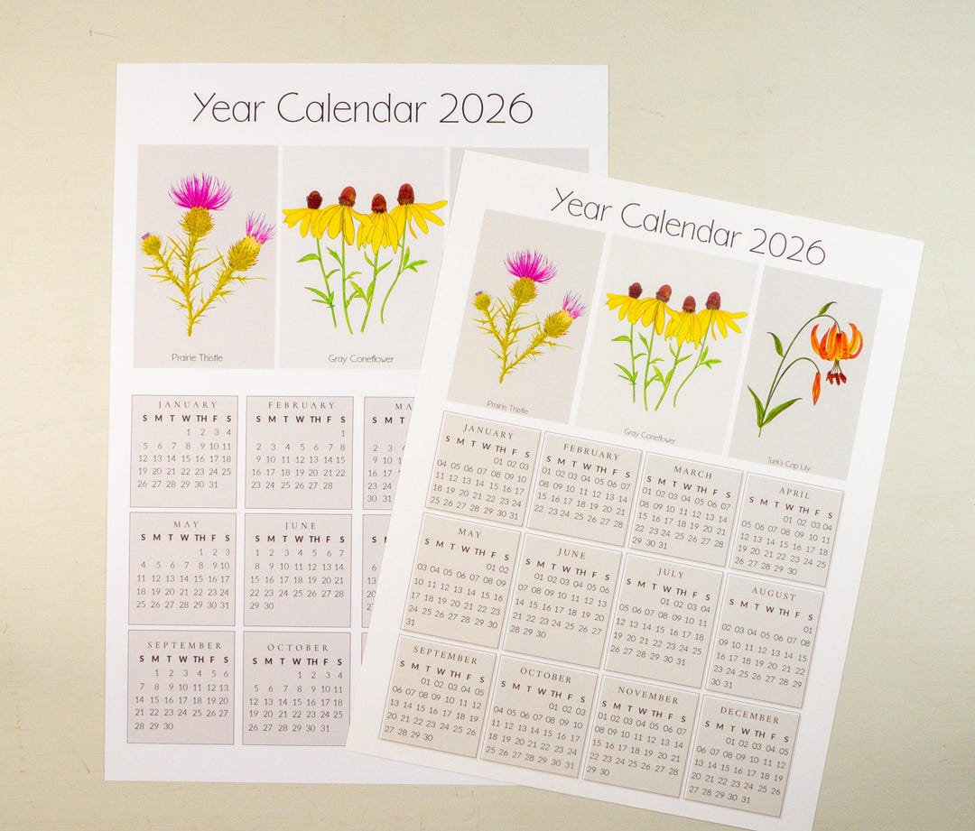 2026 Prairie Flower Year at a Glance, One Page Midwest Prairie Wall ...