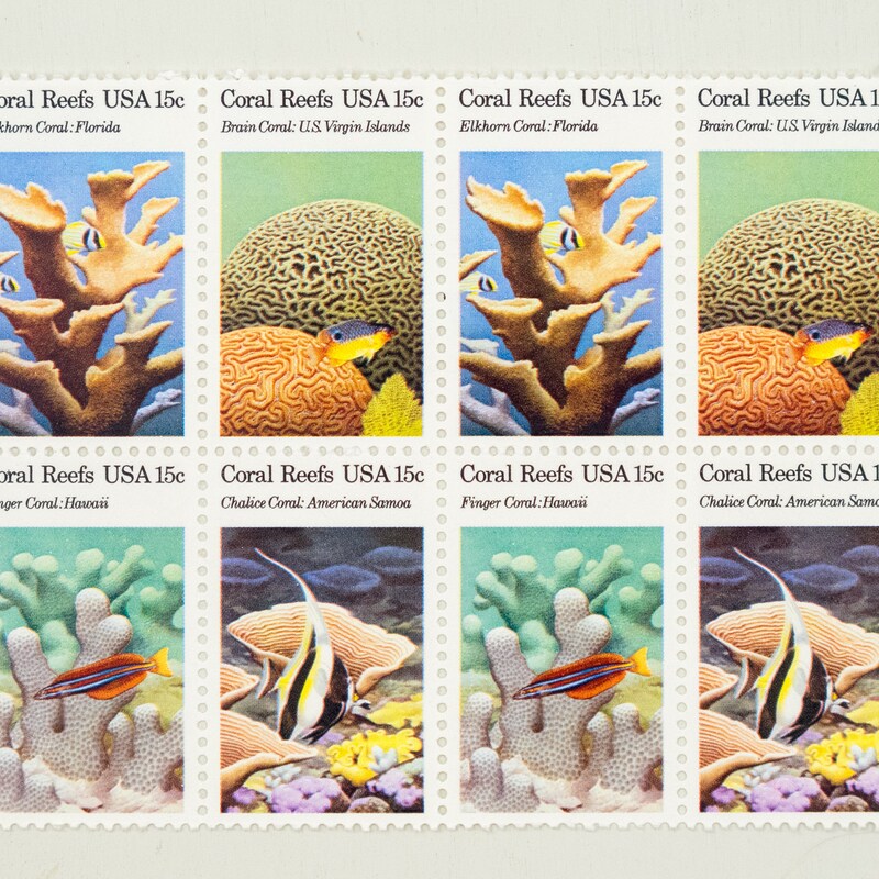 Coral Reef Art - Etsy