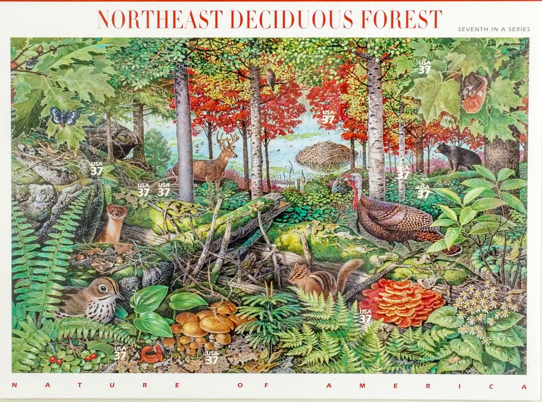 Northeast Deciduous Forest, 7th in Nature of America Stamp Series ...