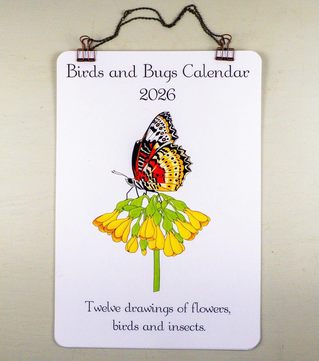 2026 Hanging Birds 'n Bugs Art Calendar, Bright Watercolor Drawings of ...
