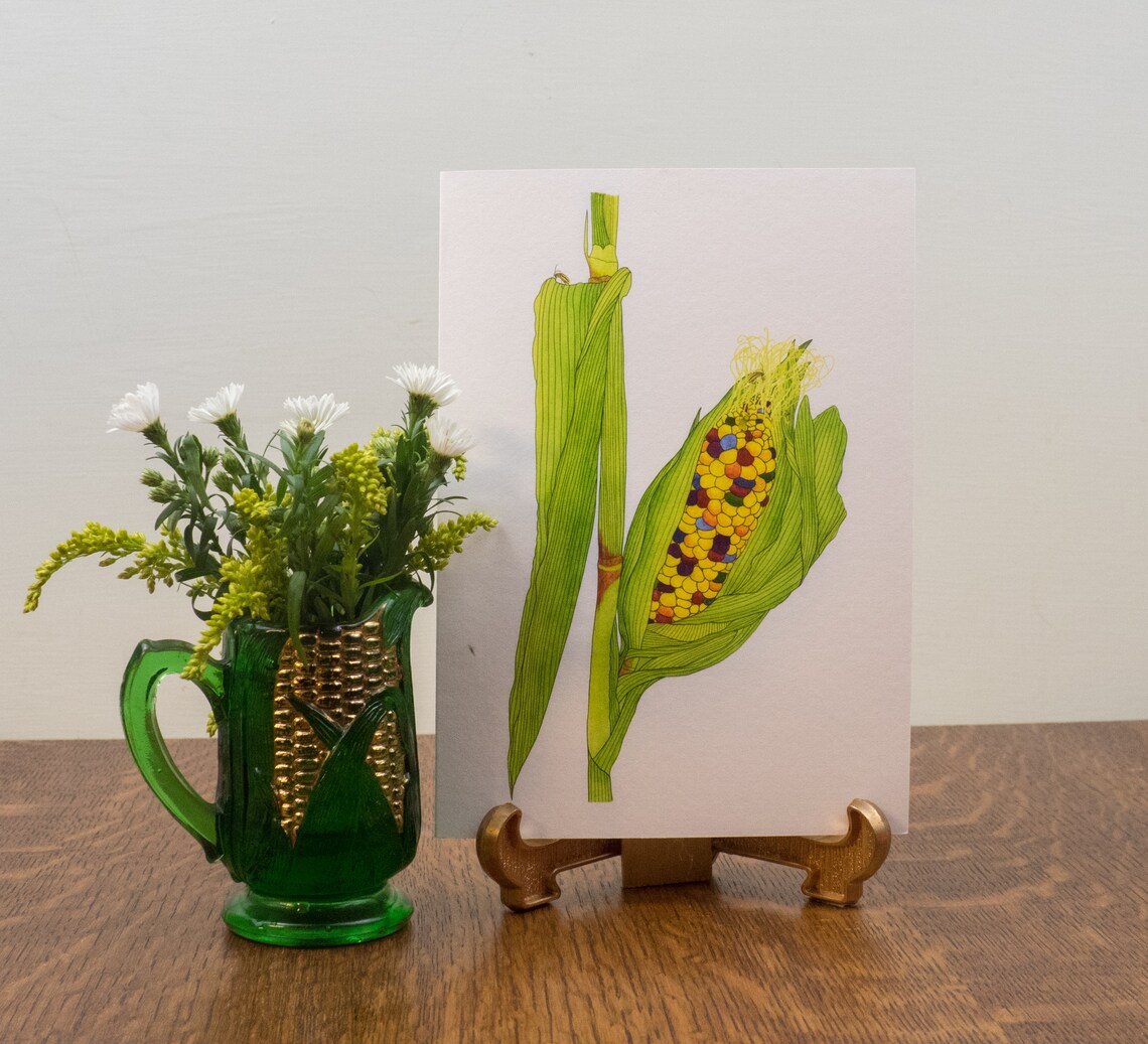 Ear of Corn Calico Corn Notecards Maize Greeting Card - Etsy