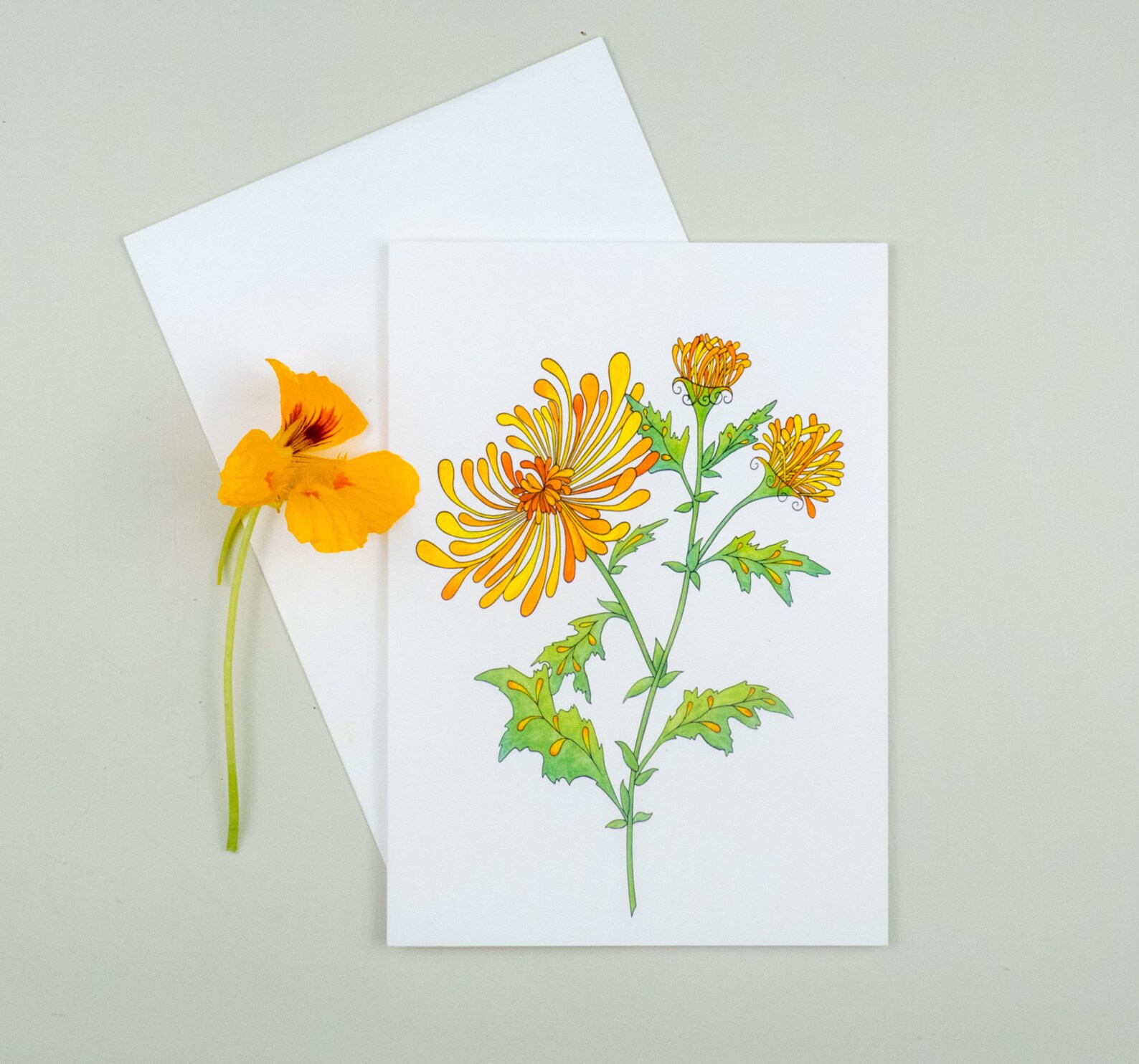 Chrysanthemum Greeting Card Fall Flower Card Autumn Mum | Etsy