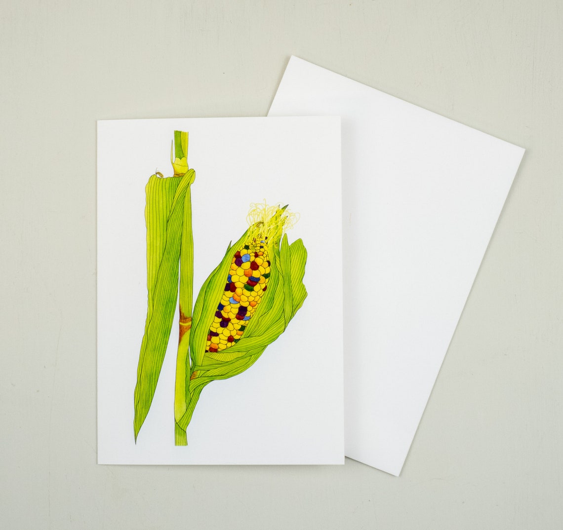 Ear of Corn Calico Corn Notecards Maize Greeting Card - Etsy