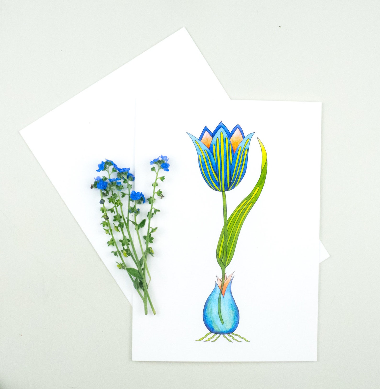 Tulip Flower Card Spring Flower Card Tulip Bulb Blue Tulip | Etsy