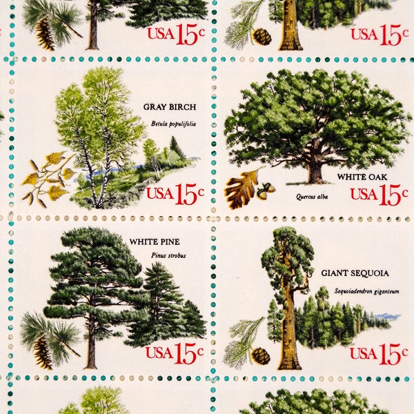 Oak Tree Stamps - Etsy