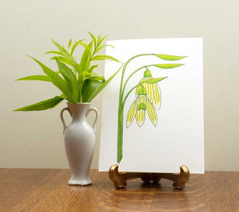 Snowdrop Card Spring Flower Card Botanical Art Card White - Etsy