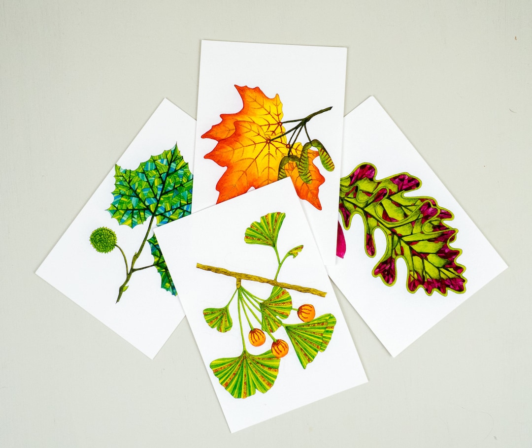 Four Leaf Post Cards, 4 X 6 Leaf Prints, Tree Leaf Postcards, Botanical ...