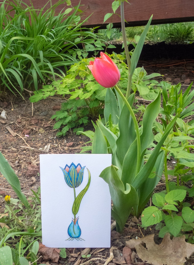 Tulip Flower Card Spring Flower Card Tulip Bulb Blue Tulip | Etsy