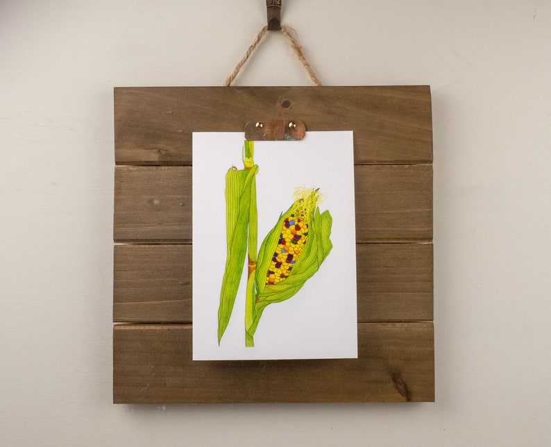 Ear of Corn Calico Corn Notecards Maize Greeting Card - Etsy