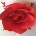 ROSE Pop-up Card - Etsy