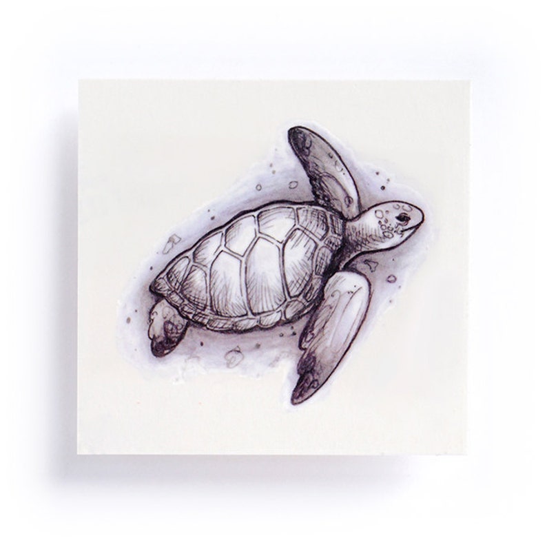 Sea Turtle Watercolor Tattoo Sticker Animal Tattoo Ocean - Etsy