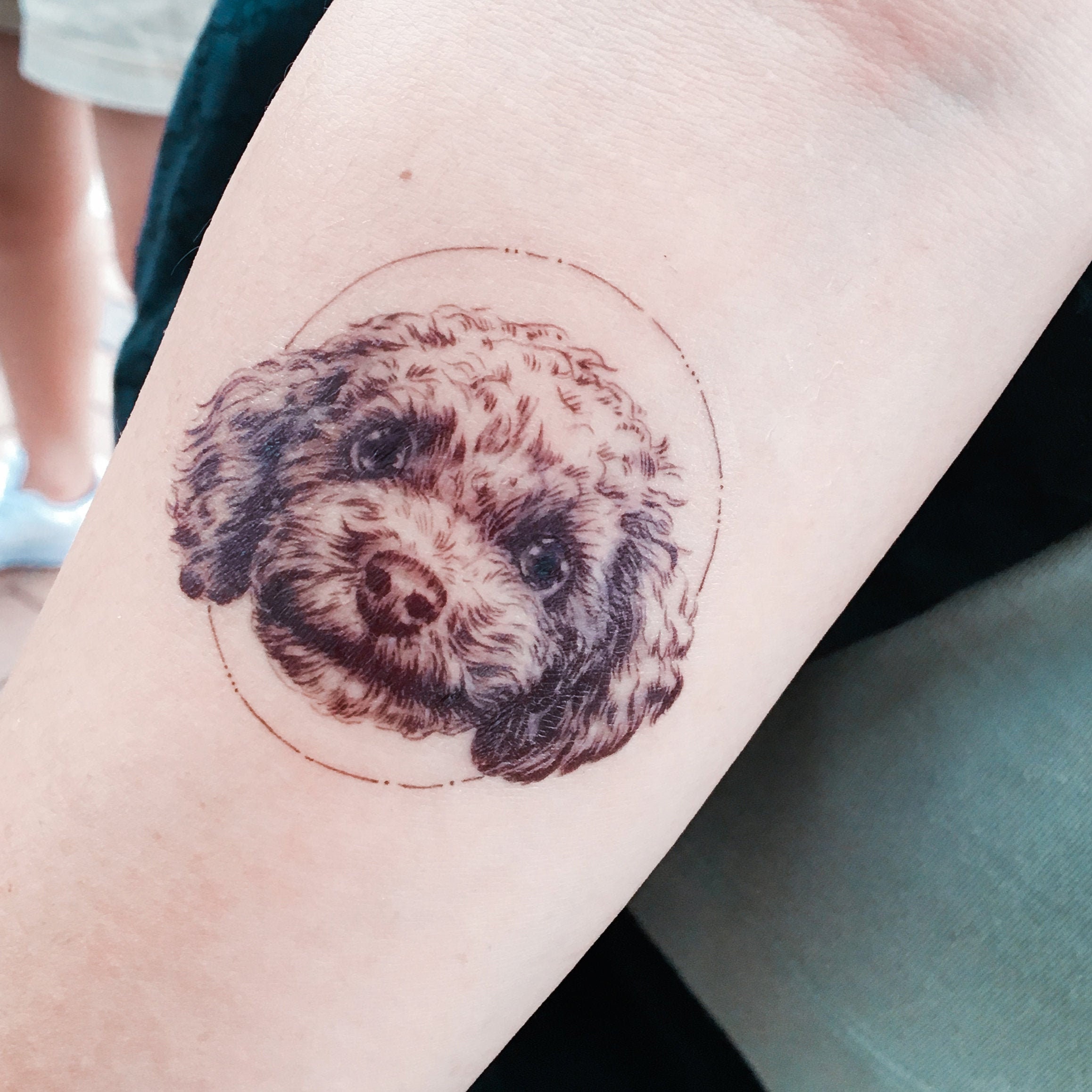 Dog Tattoos Watercolor Animal Temporary Tattoos Poodle Tattoo Stickers ...